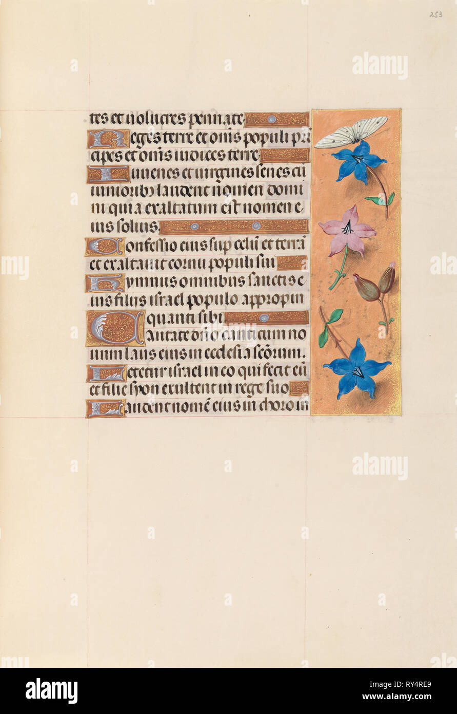 253r hi-res stock photography and images - Alamy