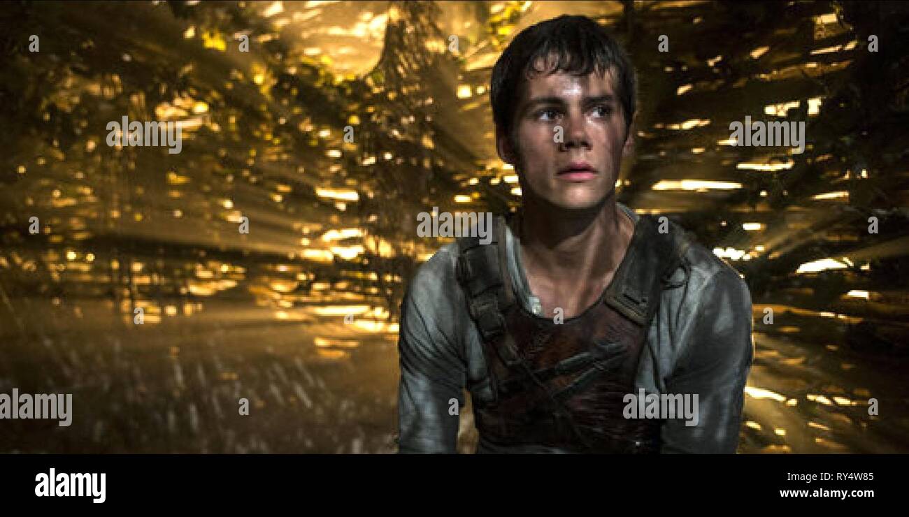 Dylan O'brien Maze Runner Still High Resolution Stock Photography and ...