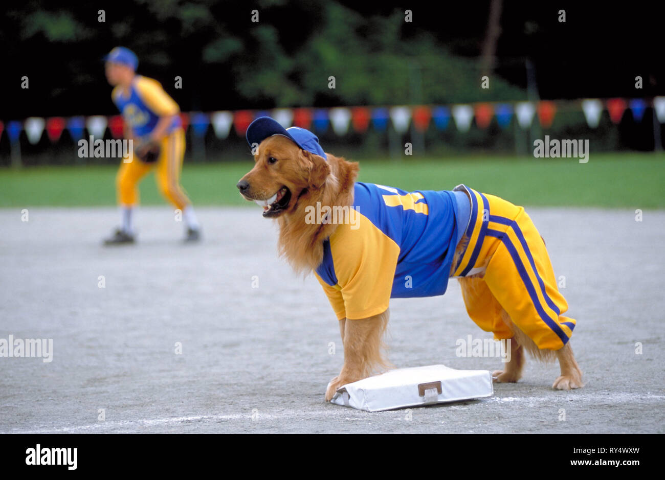 Air Bud Dog High Resolution Stock Photography and Images - Alamy