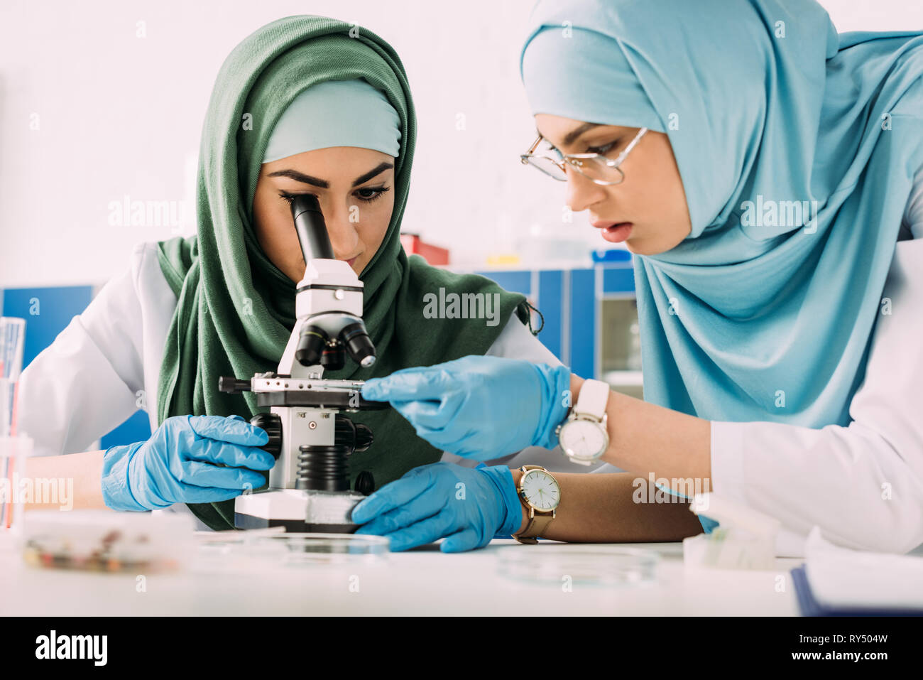 focused female muslim scientists in hijab using microscope during ...
