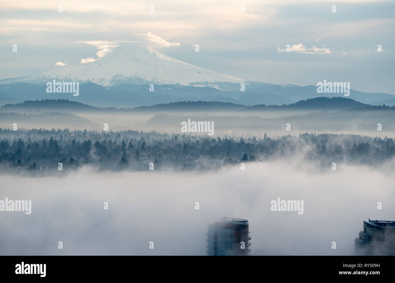 High-rise building in Portland Oregon's South Waterfront district with ...