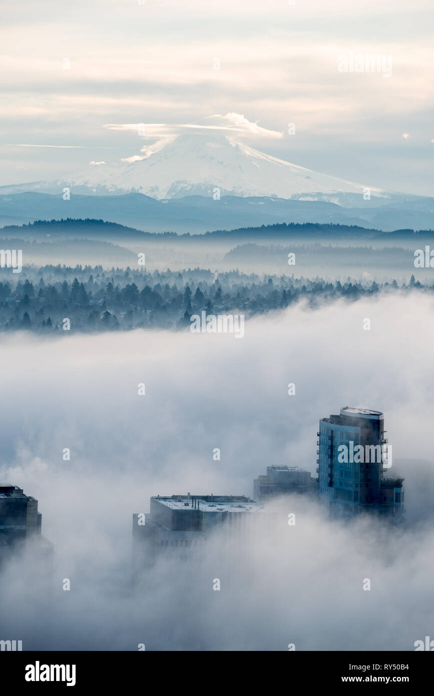 The waterfront of high rise building hi-res stock photography and ...