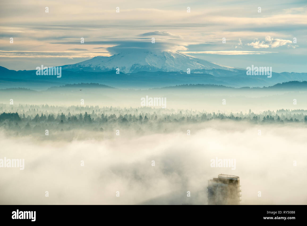 High-rise building in Portland Oregon and Mt. Hood Stock Photo - Alamy