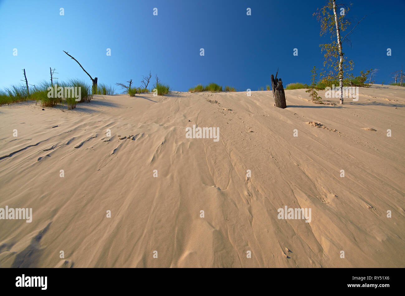 sand dune scenery on baltic sea Stock Photo - Alamy