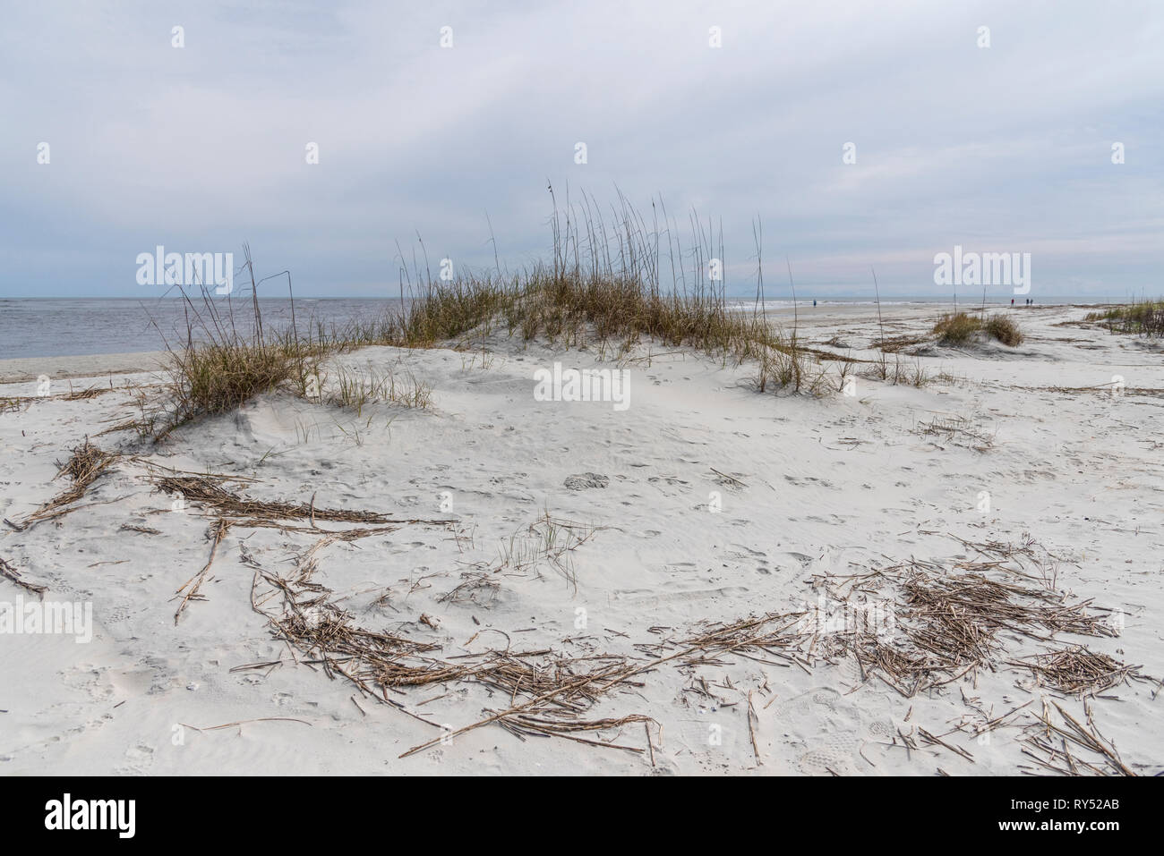 Sand Dunes and shoreline on Jekyll Island, Georgia USA Stock Photo - Alamy