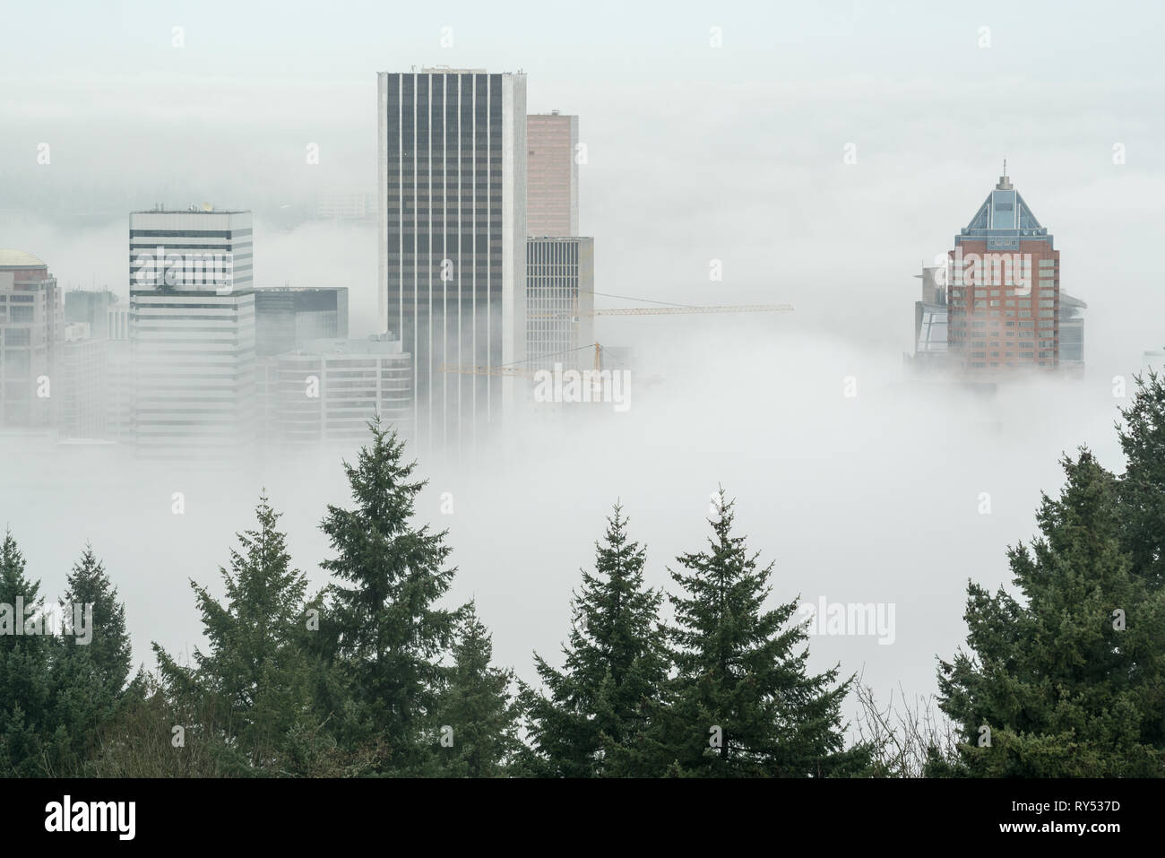 Downtown buildings in a sea of fog, Portland, Oregon Stock Photo - Alamy