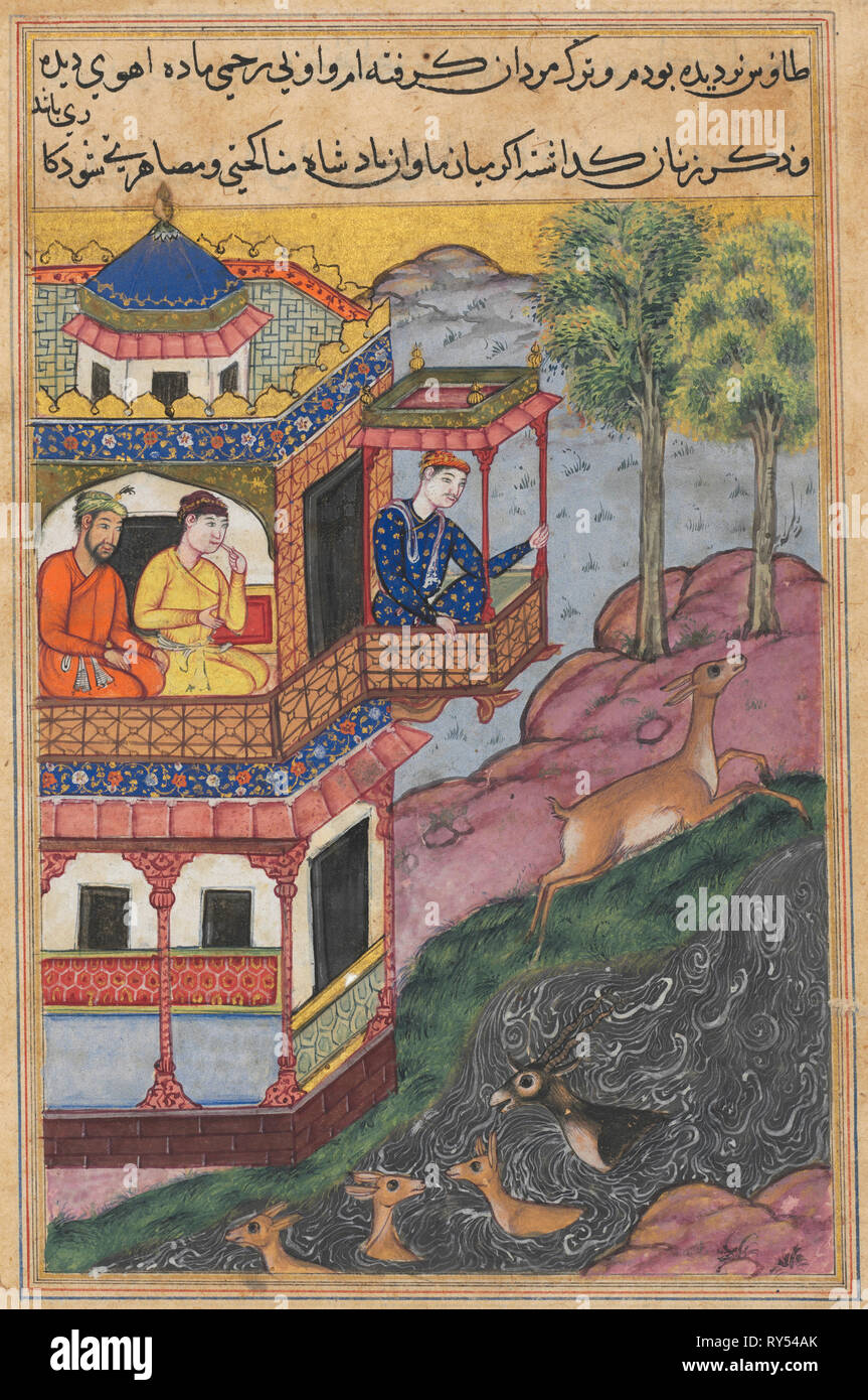 King Akbar Family Tree