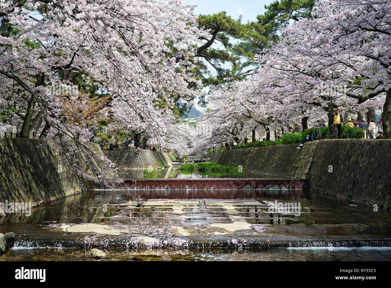 Japan honshu island kansai osaka hi-res stock photography and images ...