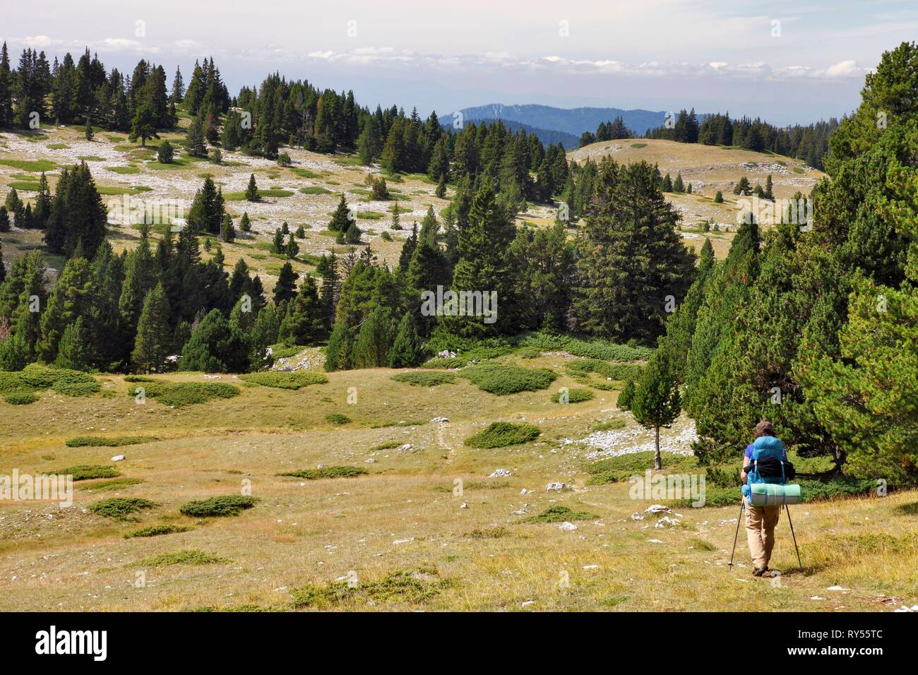 France, Isere, Vercors national natural reserve, the high plateau of ...