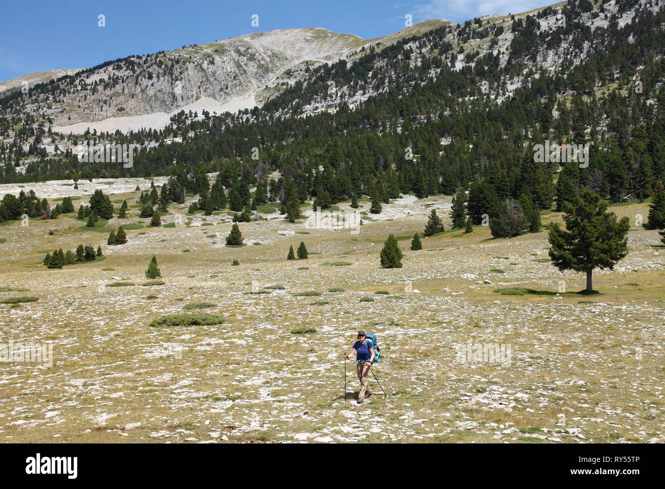 France, Isere, Vercors national natural reserve, the high plateau of ...