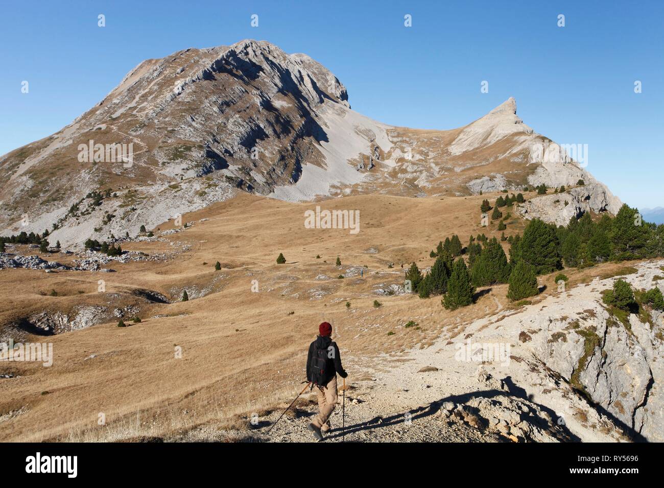 France, Isere, Vercors national natural reserve, the high plateau of ...