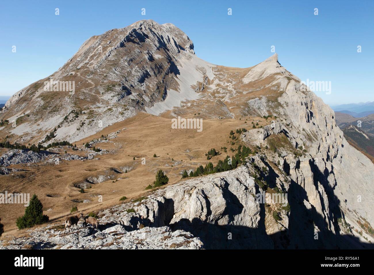 France, Isere, Vercors national natural reserve, the high plateau of ...