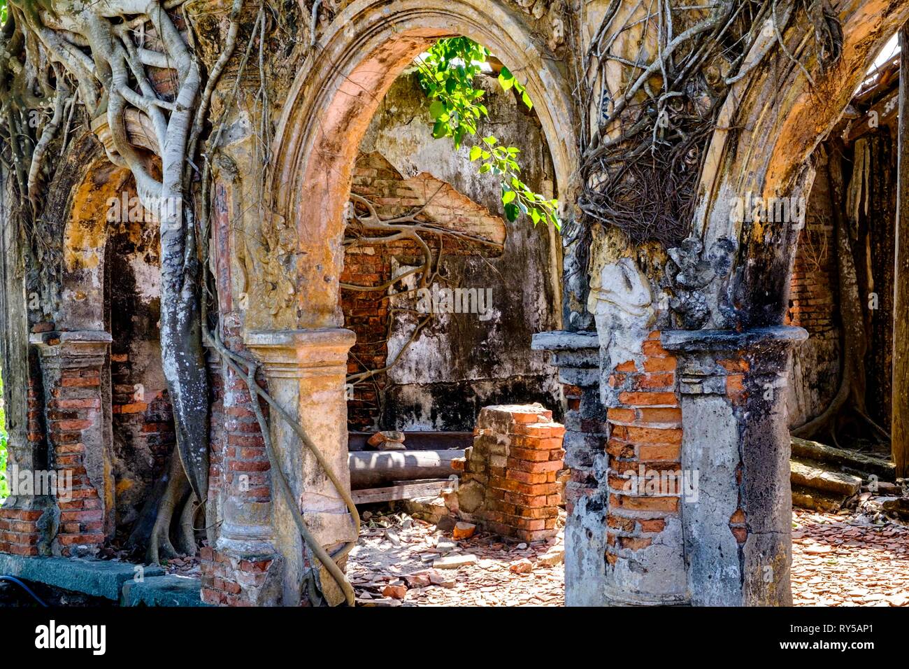Vietnam, province of Tien Giang,Temple of Dinh Tan Dong Stock Photo - Alamy