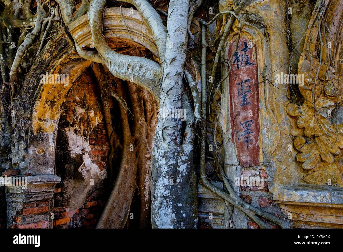 Vietnam, province of Tien Giang,Temple of Dinh Tan Dong Stock Photo - Alamy