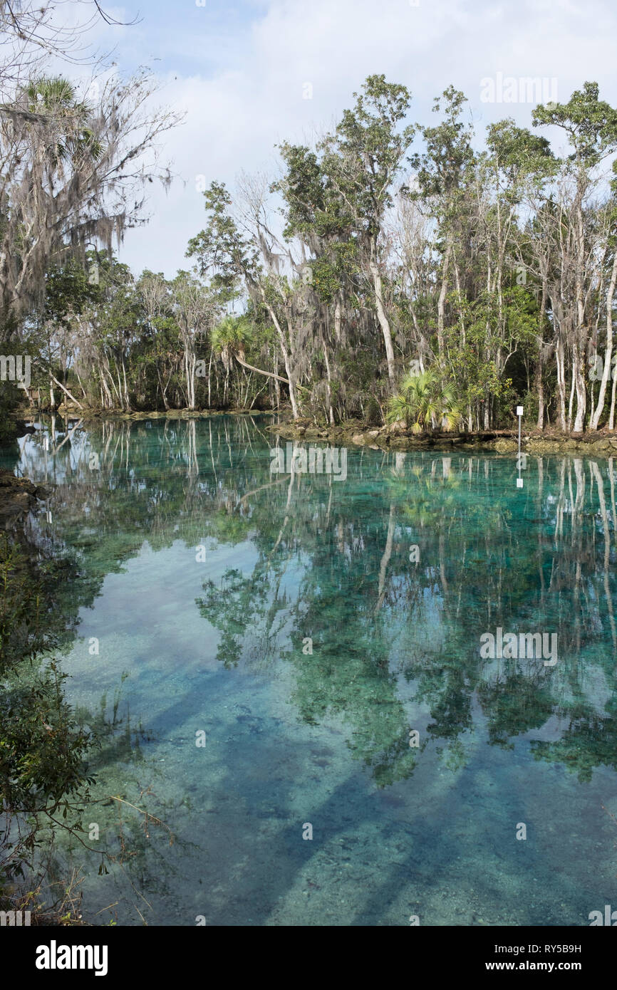 The crytal clear water at the Three Sisters Springs in Crystal River ...