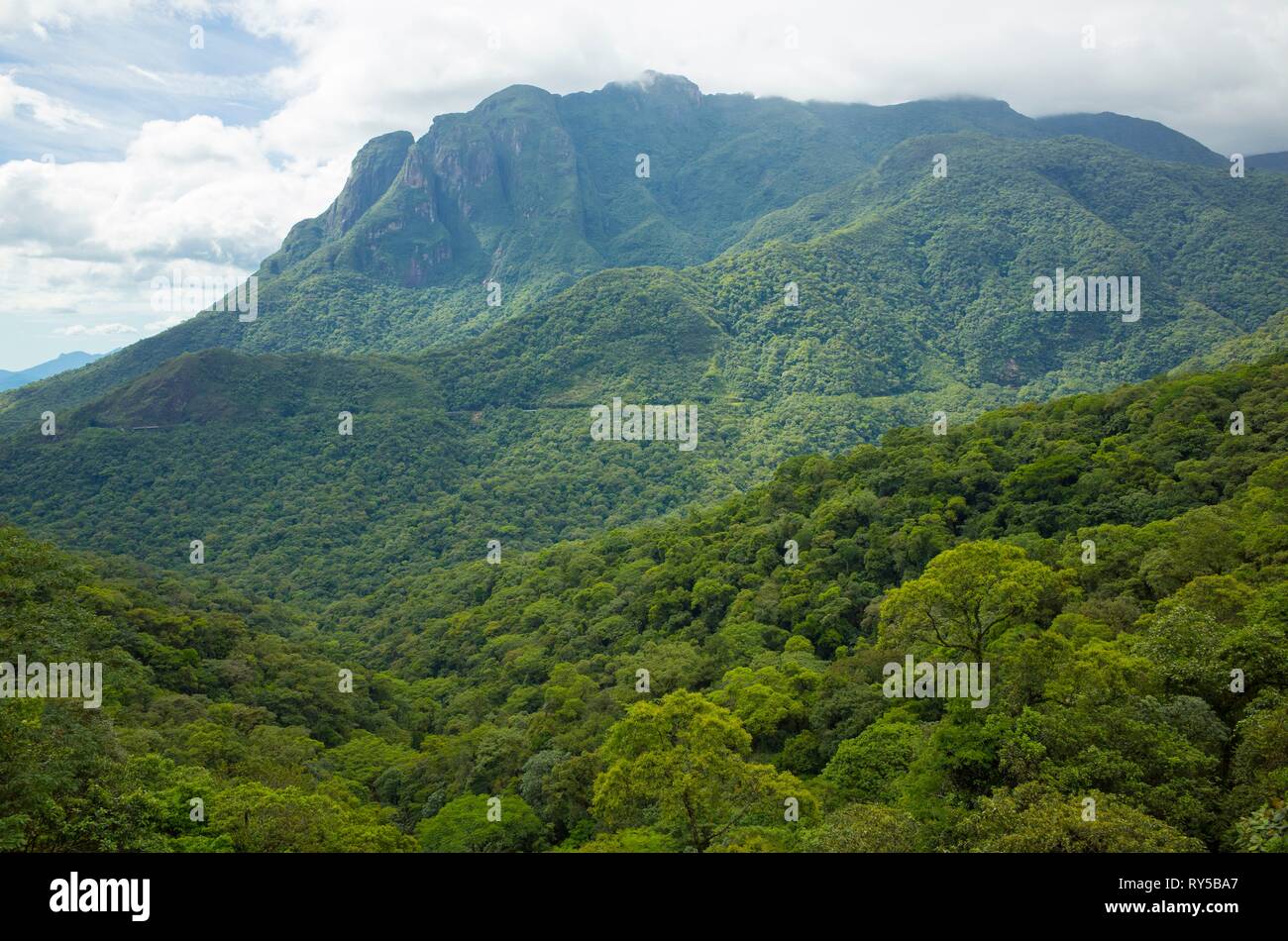 Brazil, Parana, Curitiba, the Serra Verde Express train to the port of ...