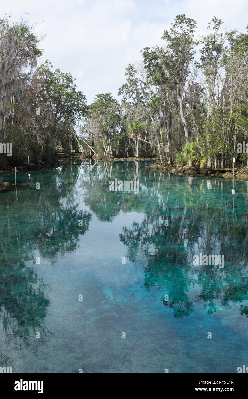 The extraordinary clear water at the Three Sisters Springs in Crystal ...