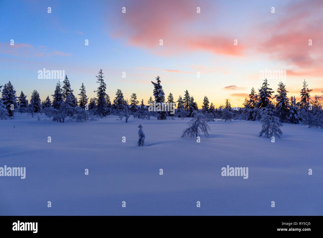 Finland, Lapland province, Inari, Saariselka Stock Photo - Alamy