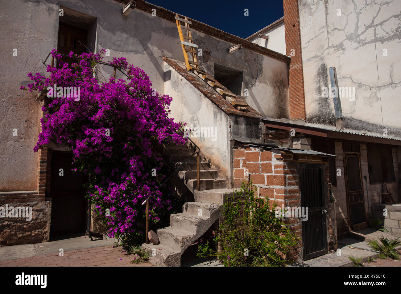 , Mpo. Arizpe, Sonora, Mexico Stock Photo - Alamy
