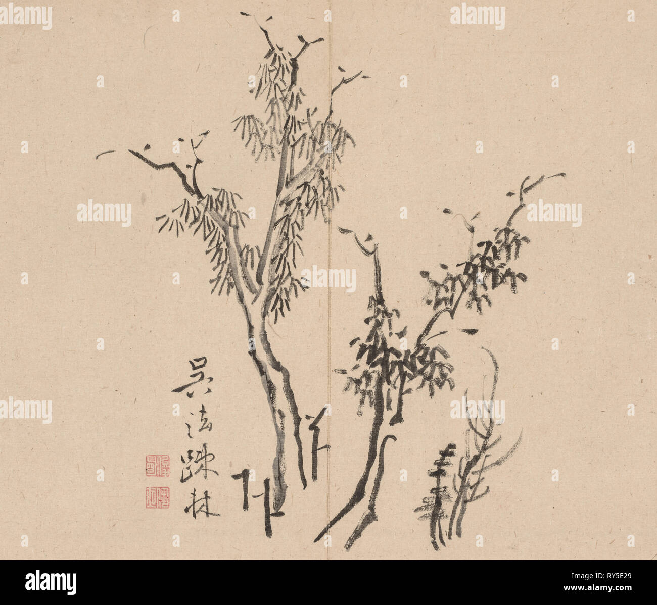 33 5 x 28 5 cm hi-res stock photography and images - Alamy
