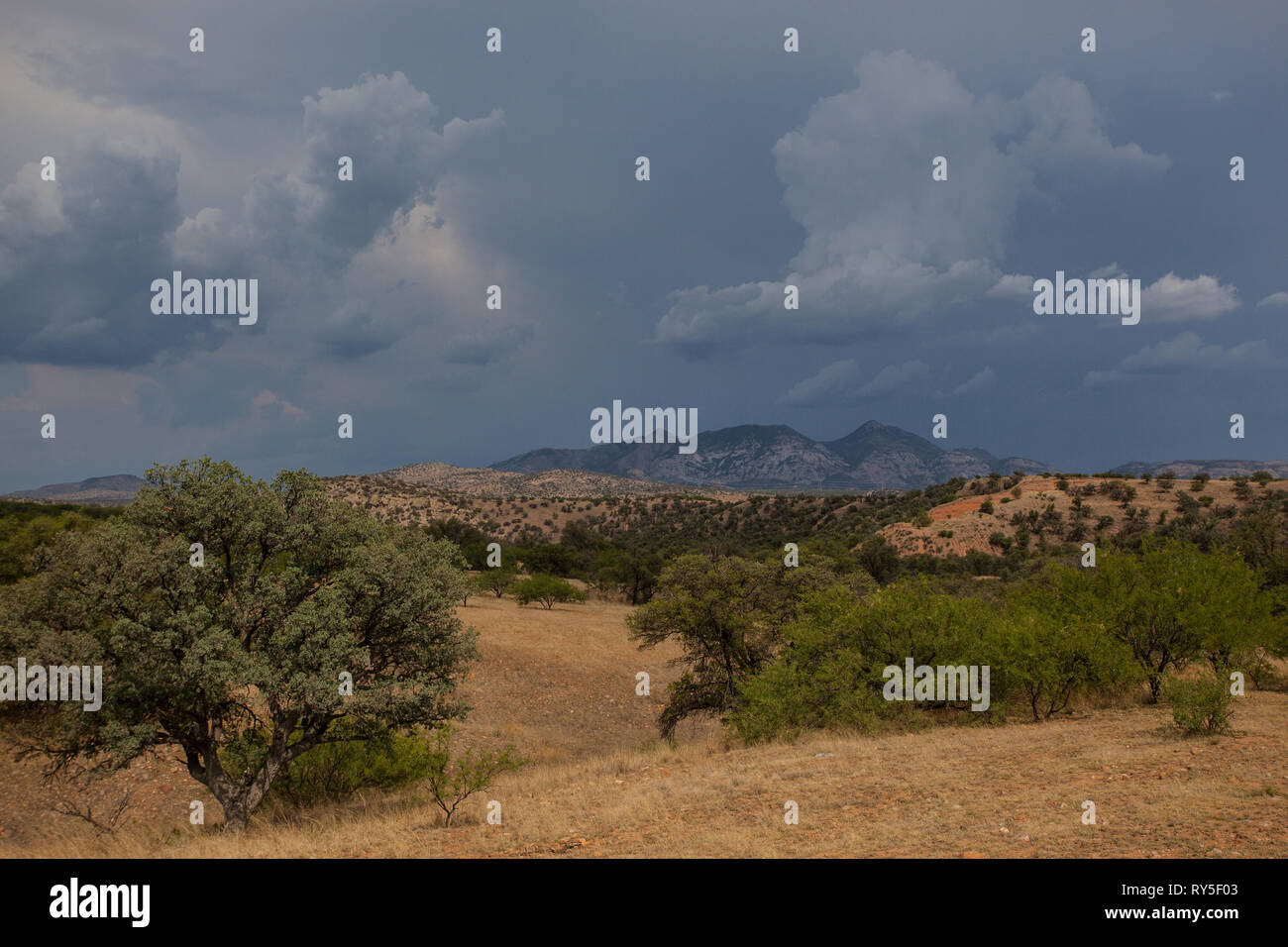 Nacozari hi-res stock photography and images - Alamy