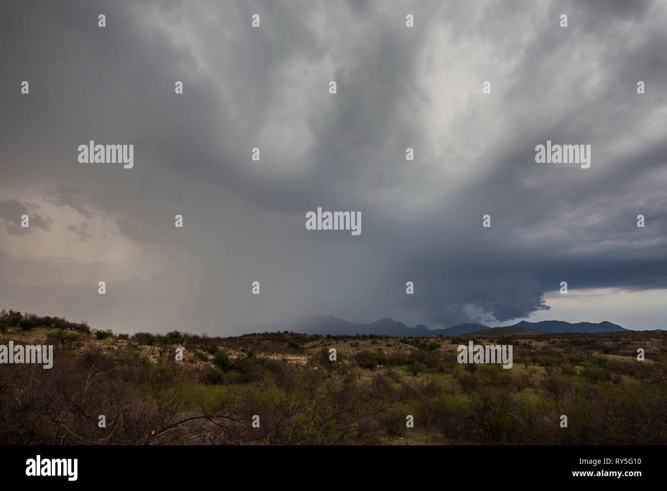 Sierra Mazocahuí, Mpo. Moctezuma, Sonora, Mexico Stock Photo - Alamy