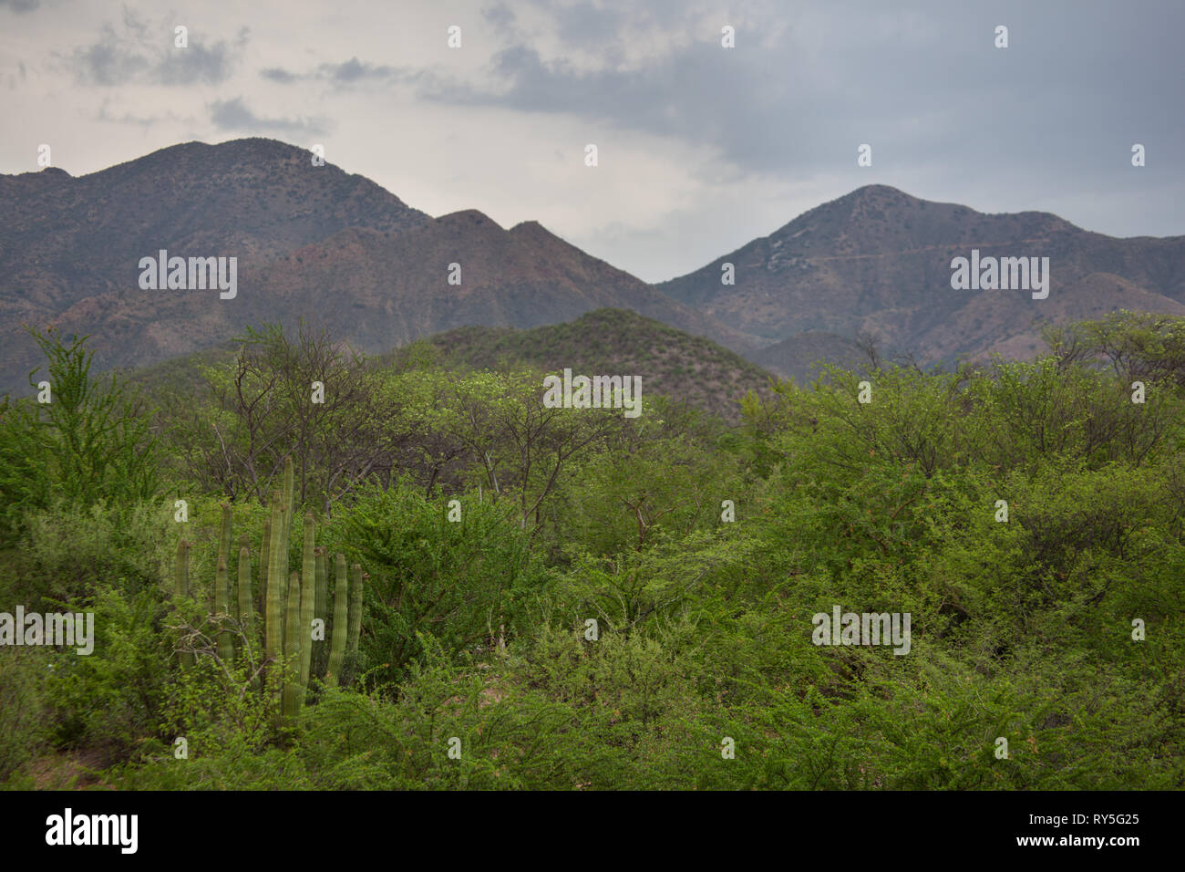 Mazocahuí, Mpo. Baviácora, Sonora, Mexico Stock Photo - Alamy