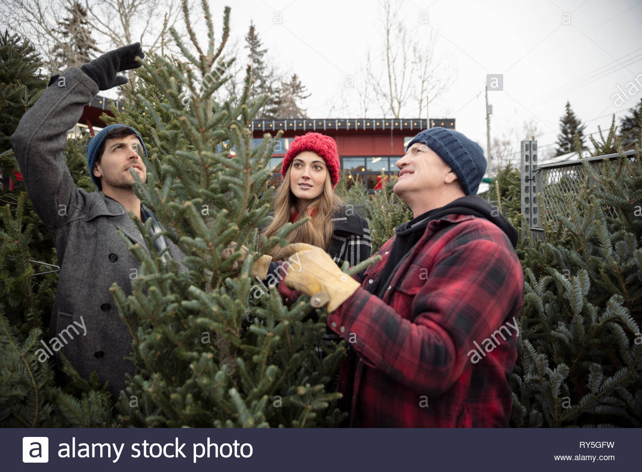 Tree height measure hi-res stock photography and images - Alamy