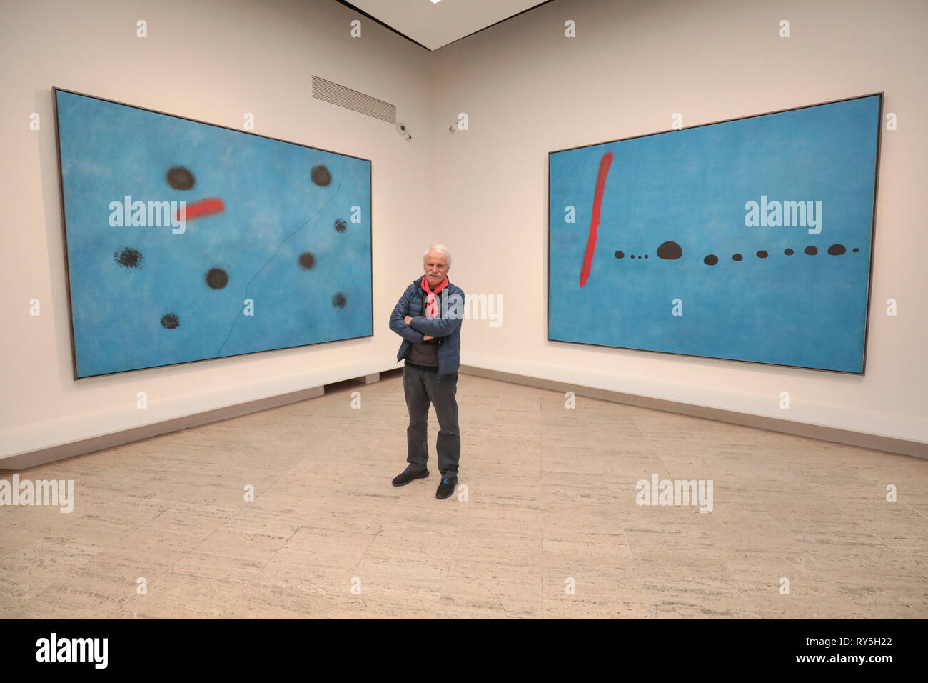 YANN ARTHUS-BERTRAND MIRO'S EXHIBITION GRAND PALAIS Museum PARIS Stock ...