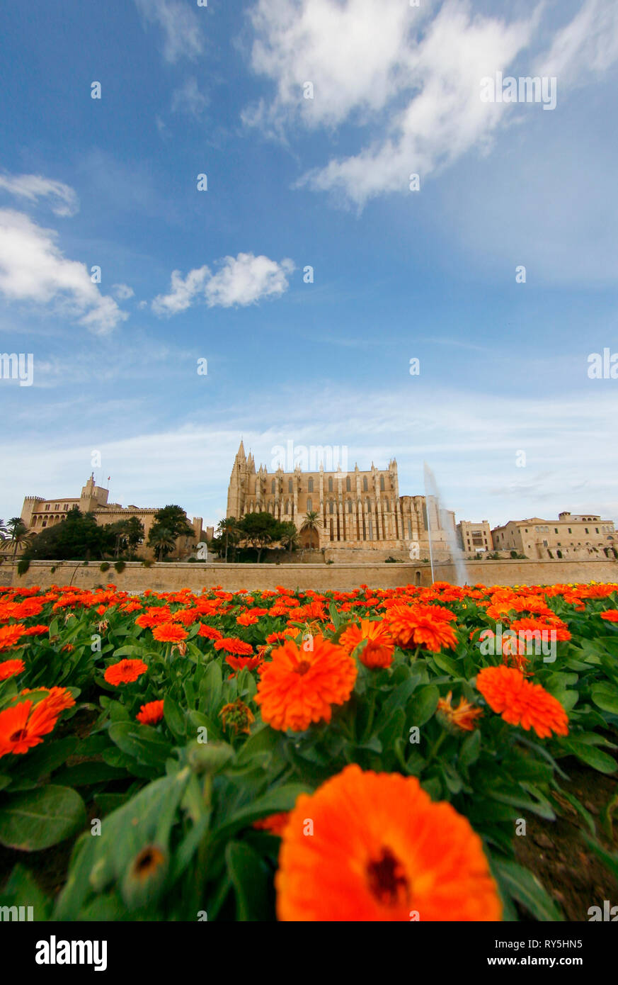 Park de mar palma de mallorca hi-res stock photography and images - Alamy