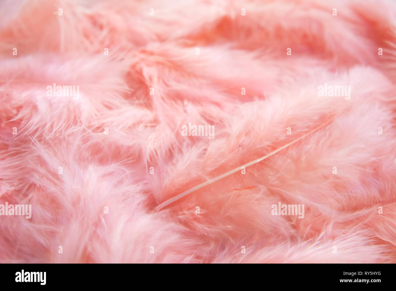 feminine pink fluffy background. pink delicate feathers background ...
