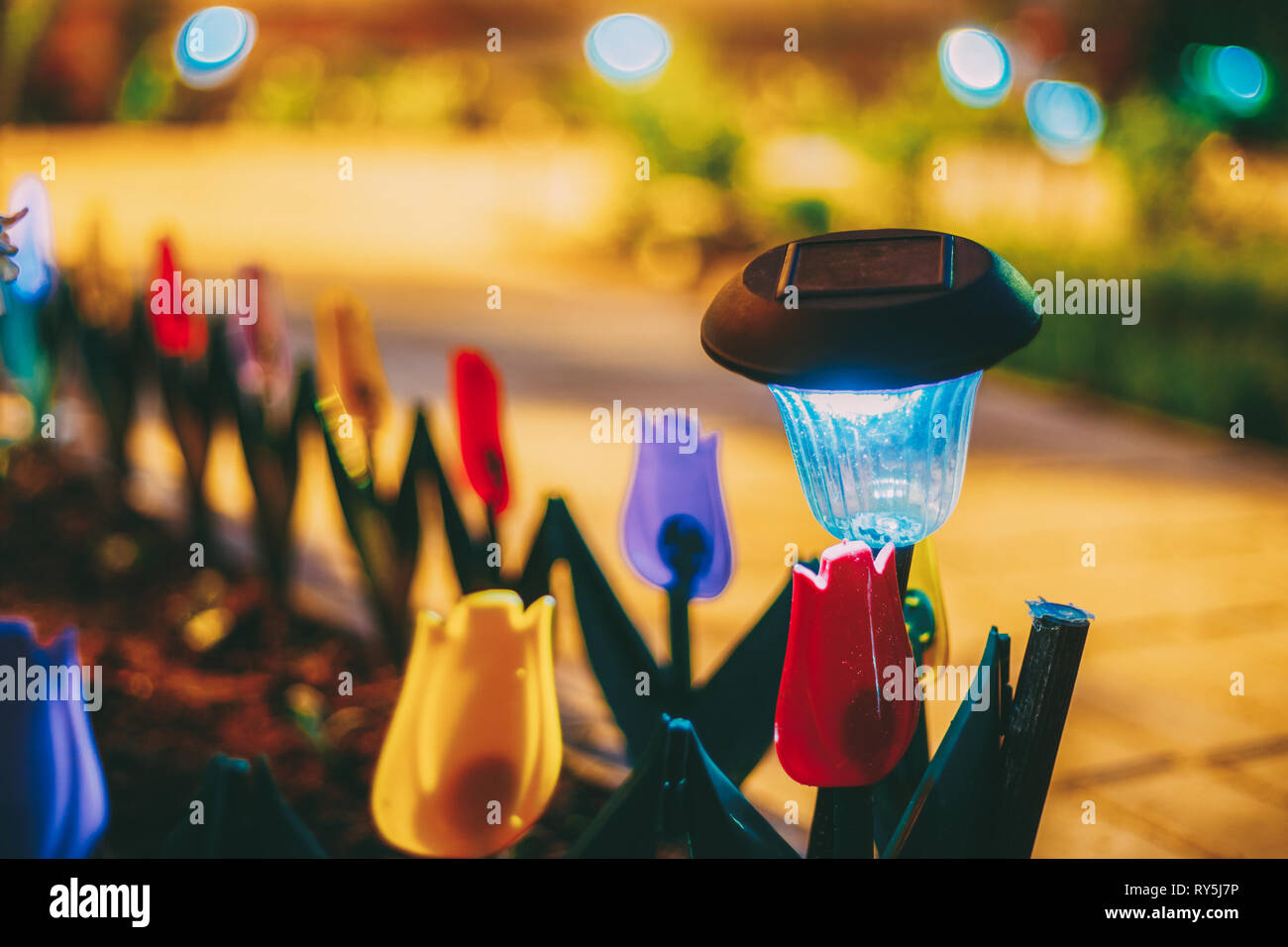 Solar Garden Light, Lanterns In Flower Bed. Garden Design Stock Photo ...