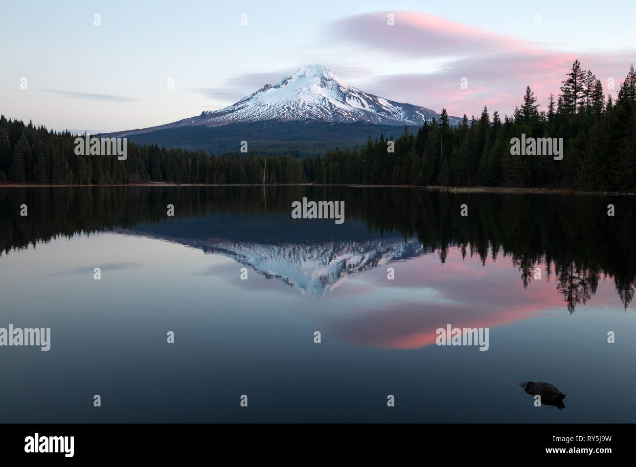 Mount Hood Morning Reflection Stock Photo - Alamy