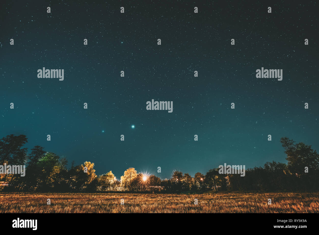 Green Trees Woods In Park Under Night Starry Sky. Night Landscape With ...