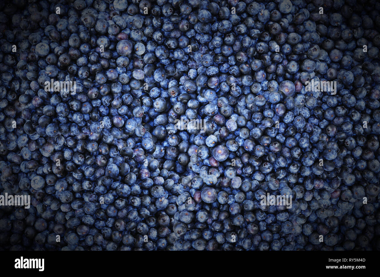 Pile of Blueberries with Vignette Stock Photo - Alamy