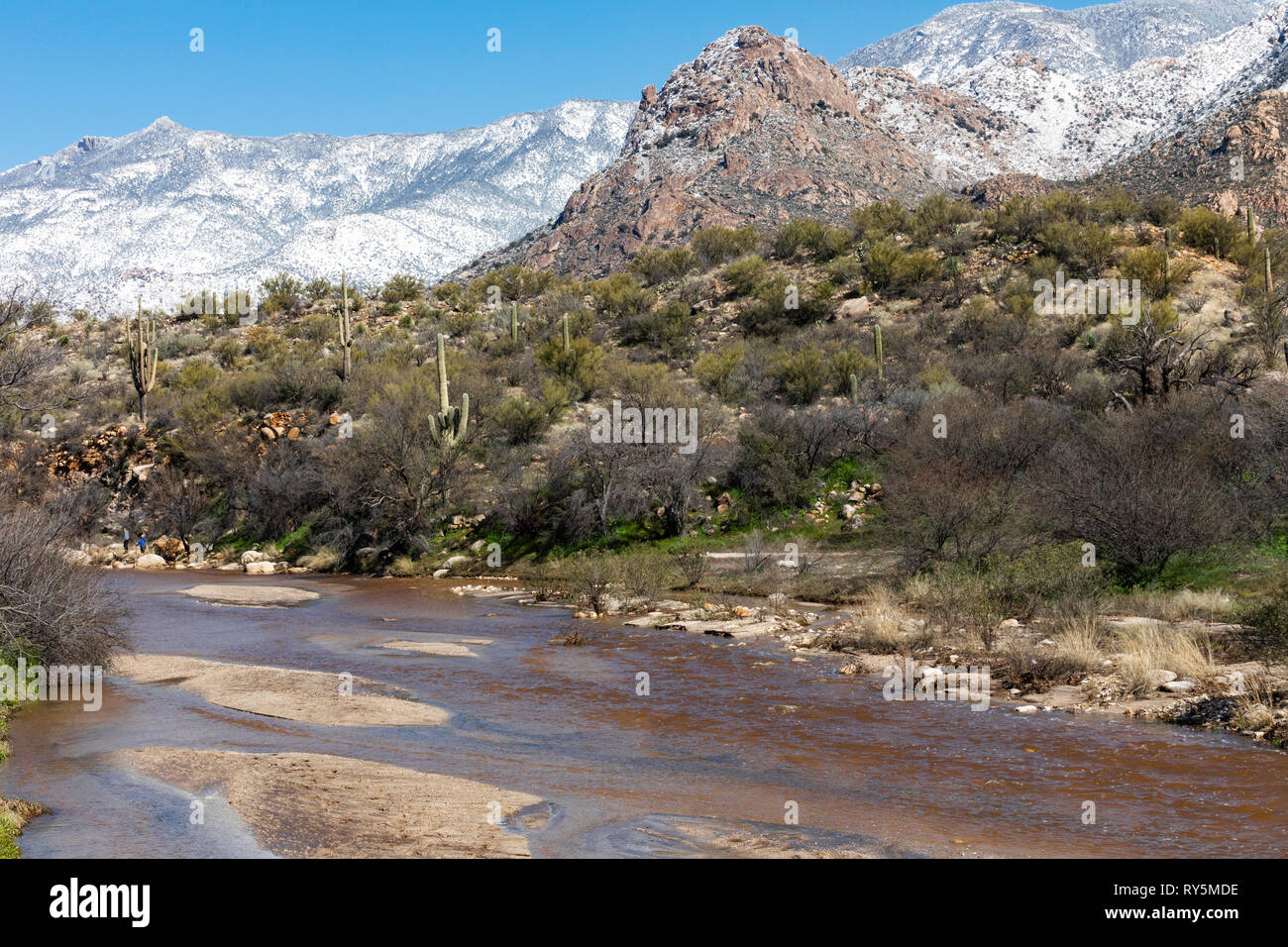 Sutherland Wash flowing after a winter storm, snow on the Santa ...