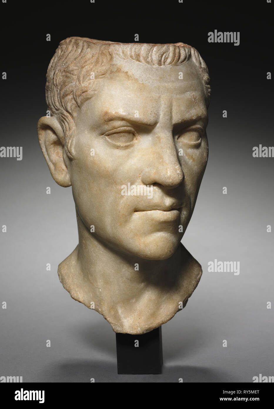 C Gallus High Resolution Stock Photography and Images - Alamy