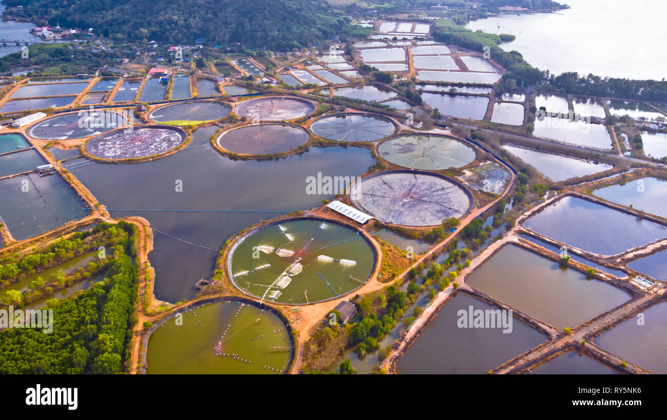 Shrimp Farm High Resolution Stock Photography and Images - Alamy