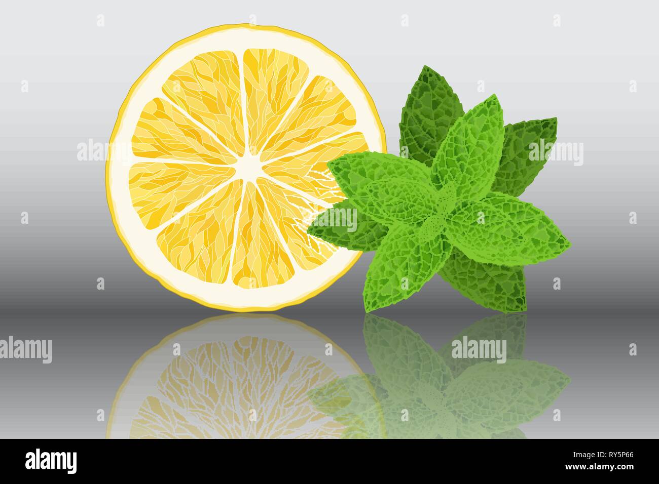 Limes fruit mint Stock Vector Images - Alamy