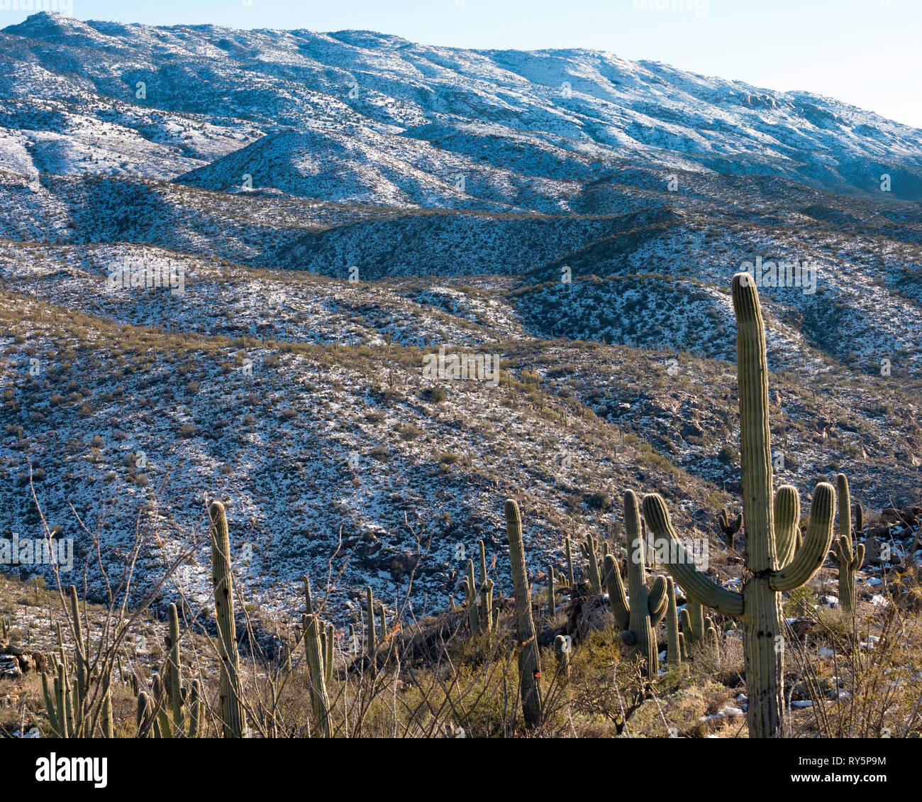 Az golden hour hi-res stock photography and images - Alamy