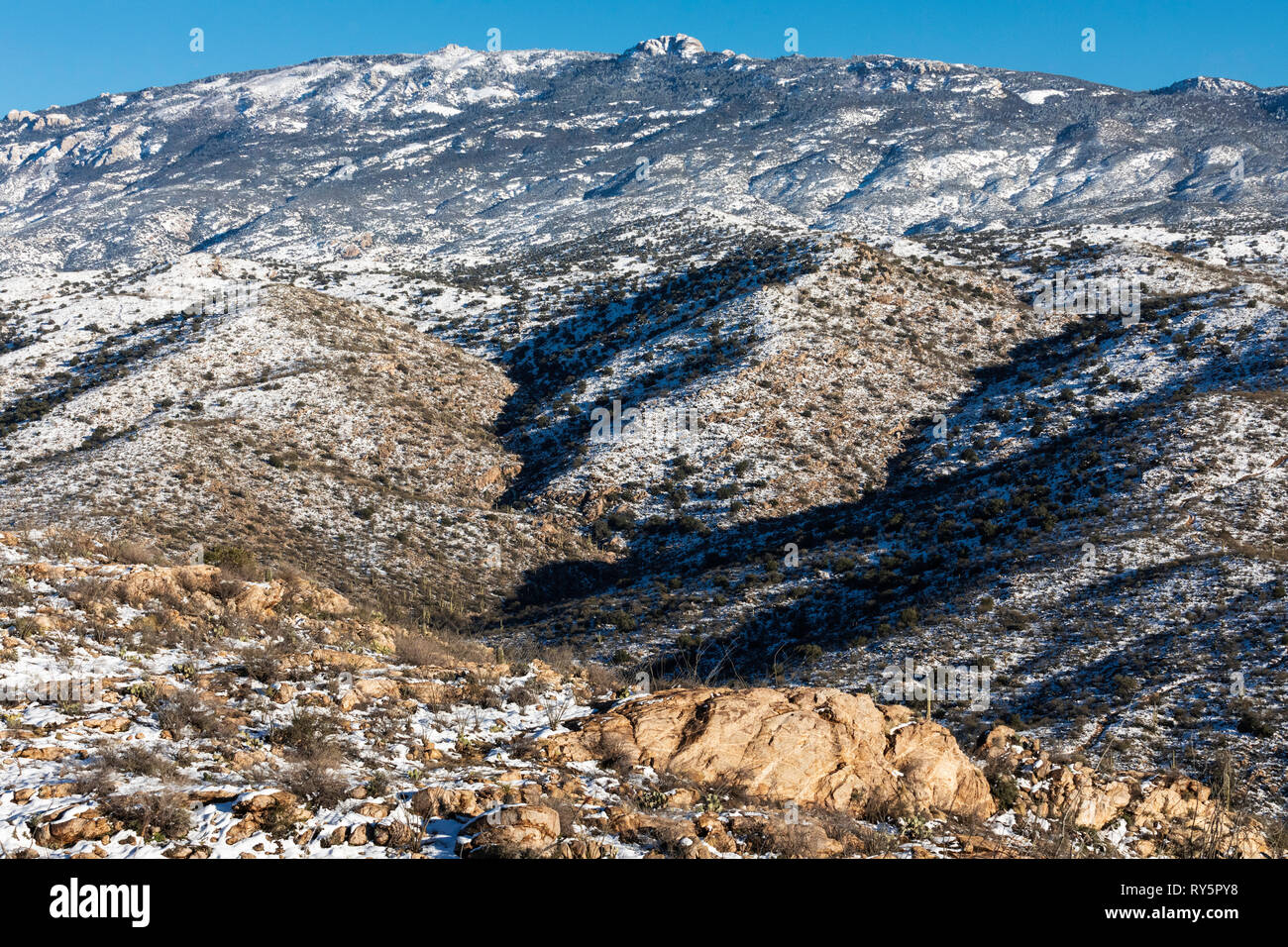 Rincon Mountains with fresh snow, Redington Pass, Tucson, Arizona Stock ...