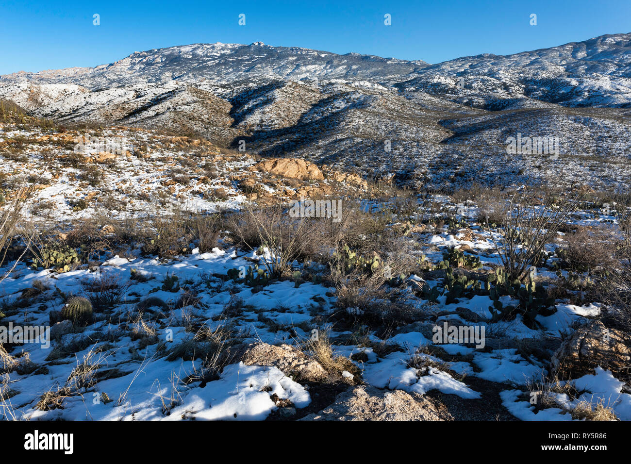 Rincon hi-res stock photography and images - Alamy