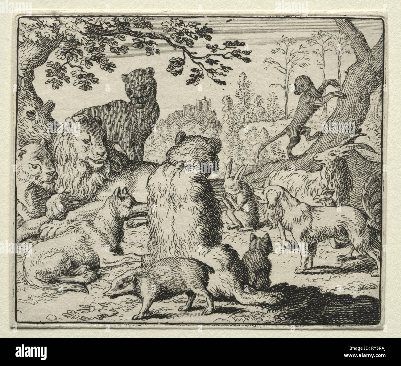 Fox And The Lion High Resolution Stock Photography and Images - Alamy