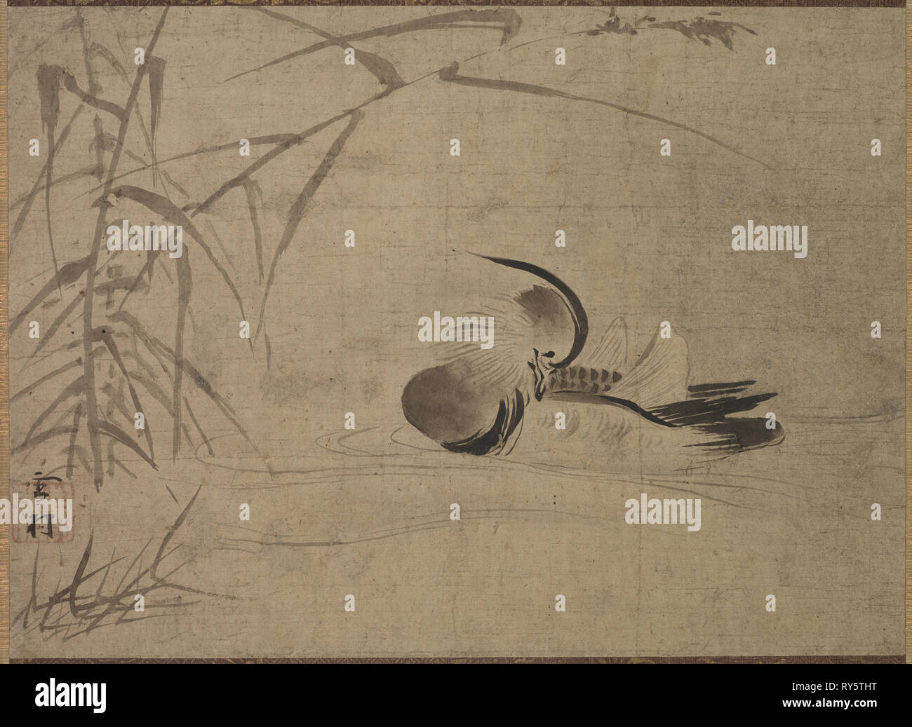 110 x 58 cm hi-res stock photography and images - Alamy