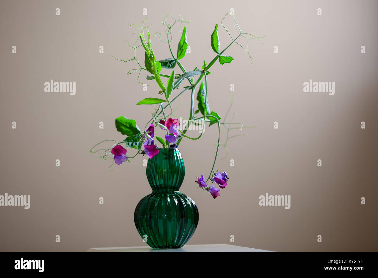Decoration pea hi-res stock photography and images - Alamy