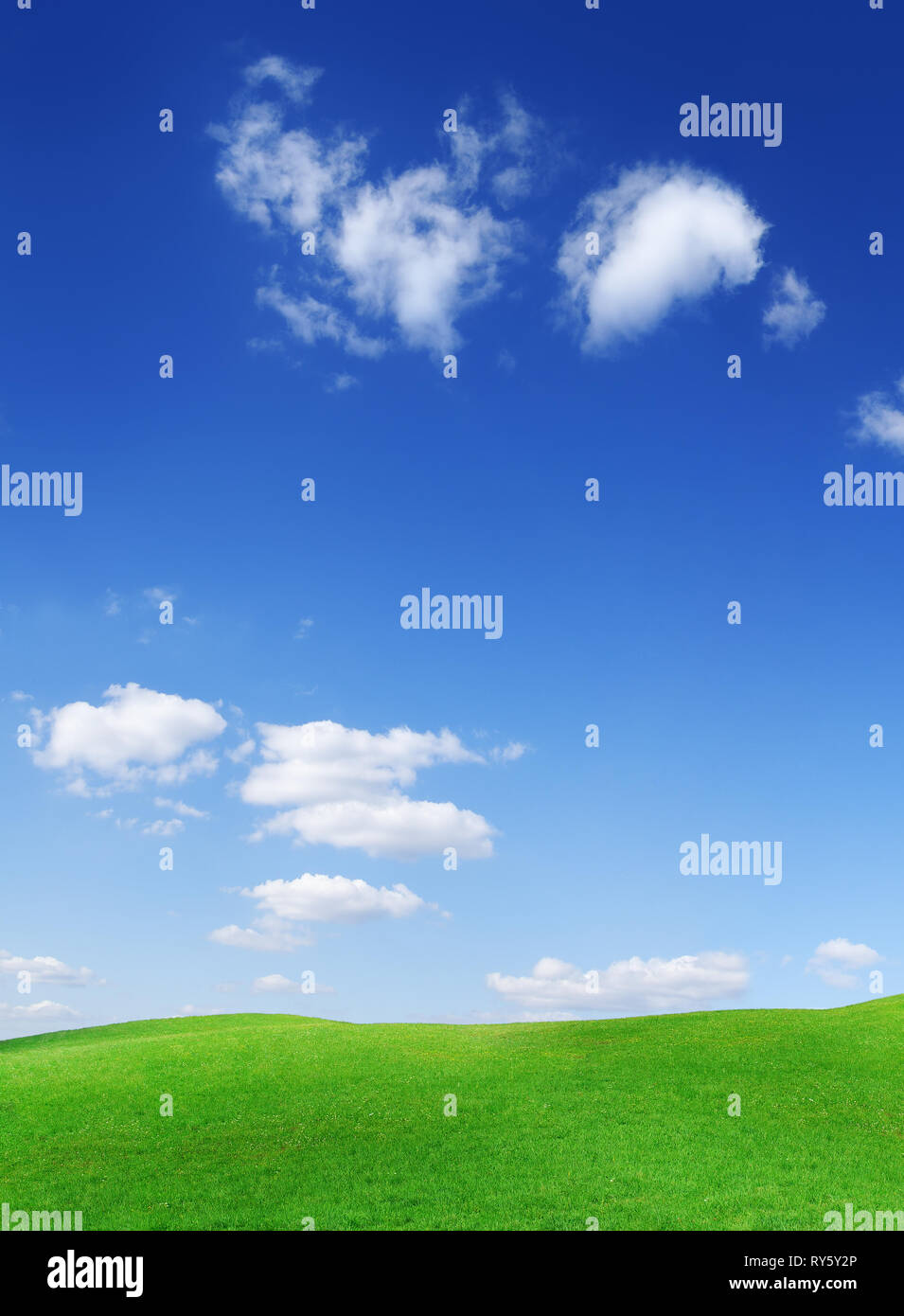 Idyllic spring landscape, rolling green fields, blue sky and white ...