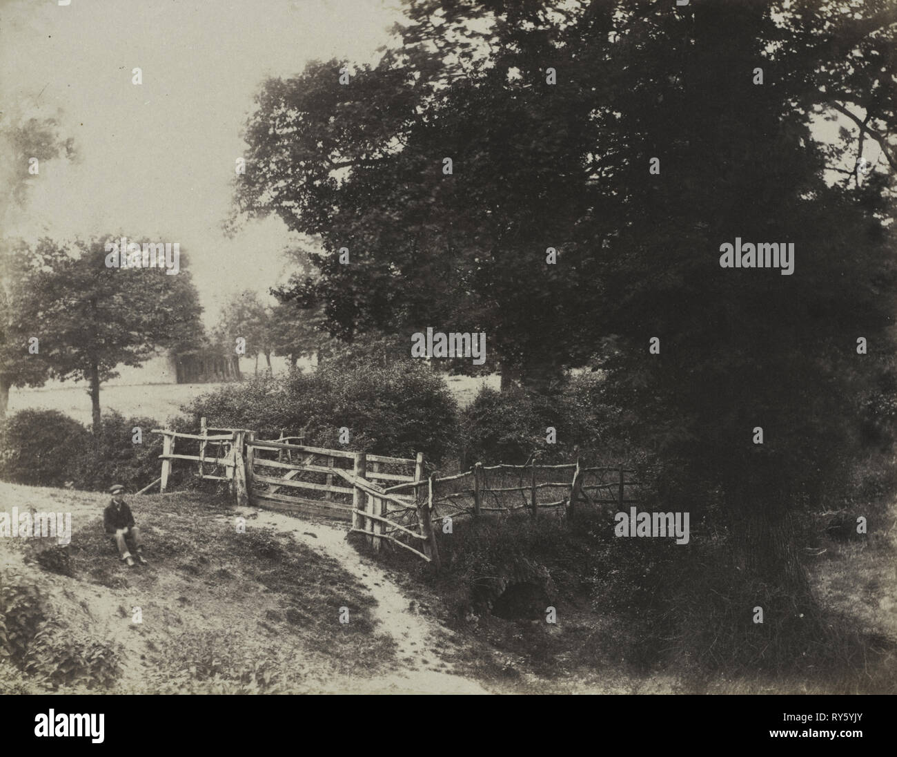 The Photographic Album for the Year 1855, pl. 31: Green Meadows, 1854 ...