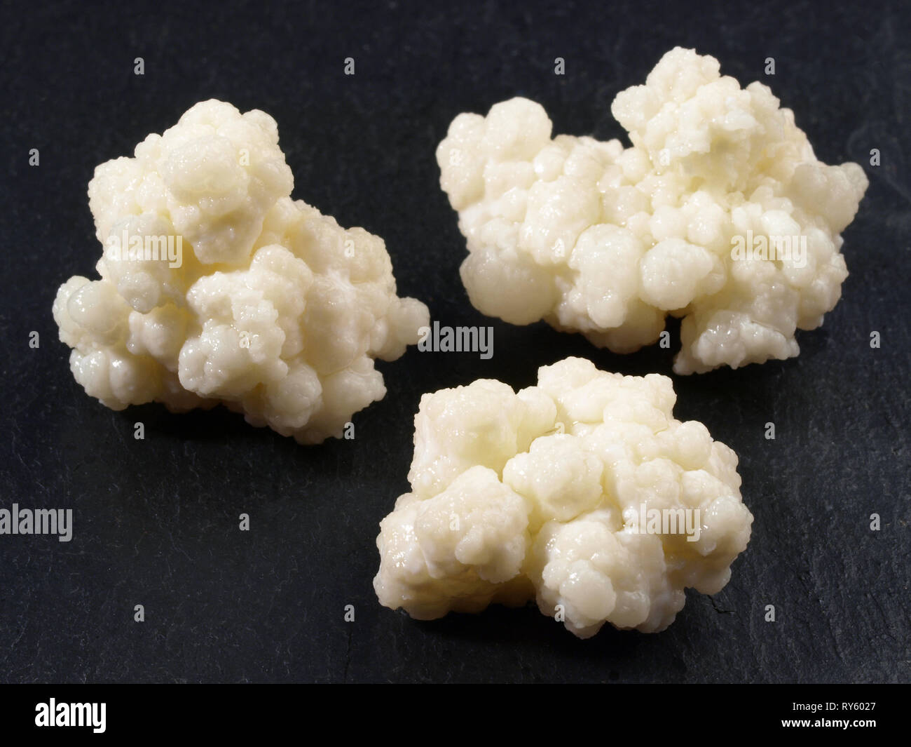 Human healthy intestinal microflora hi-res stock photography and images ...