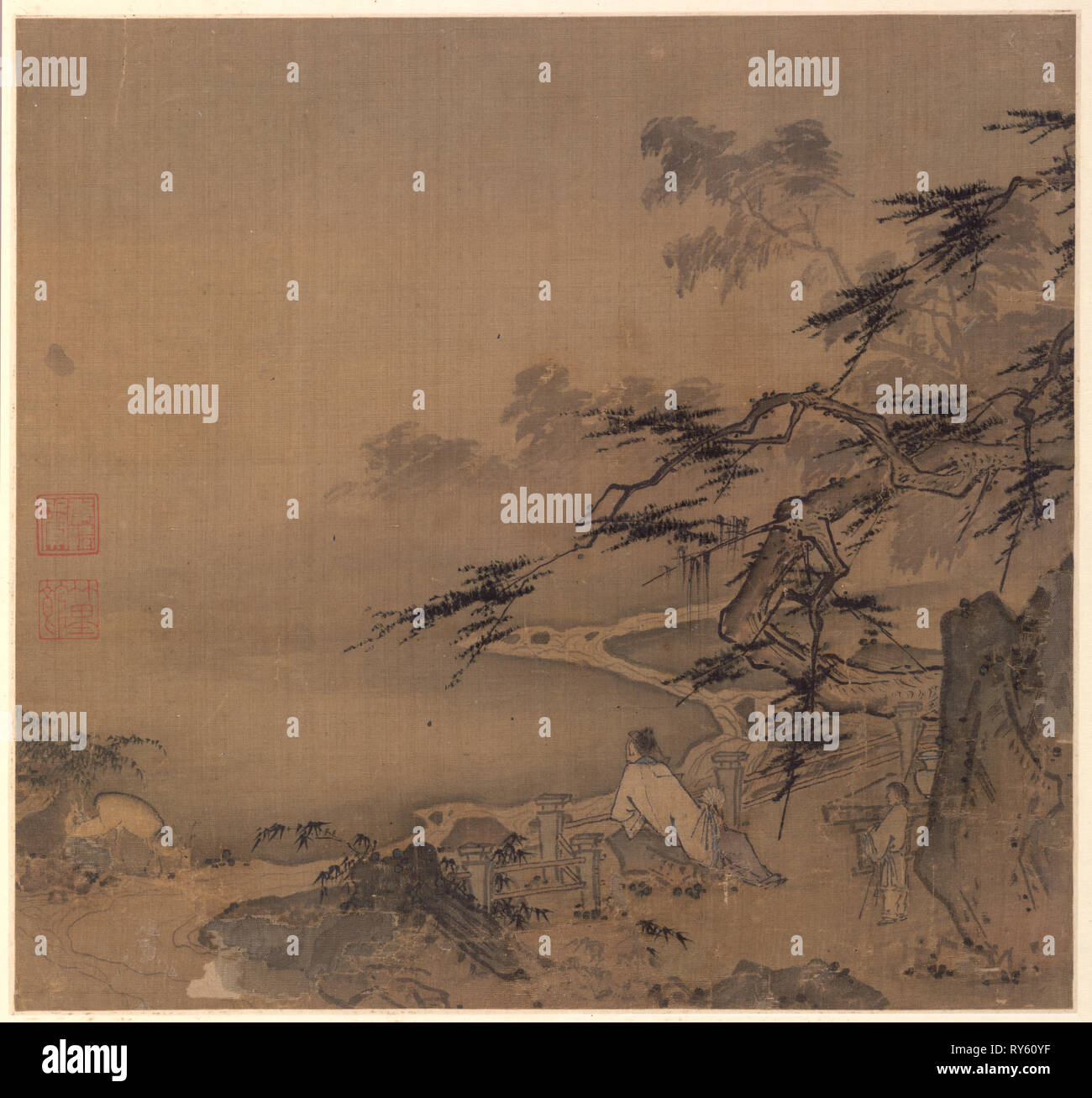 Pine shaded stream hi-res stock photography and images - Alamy