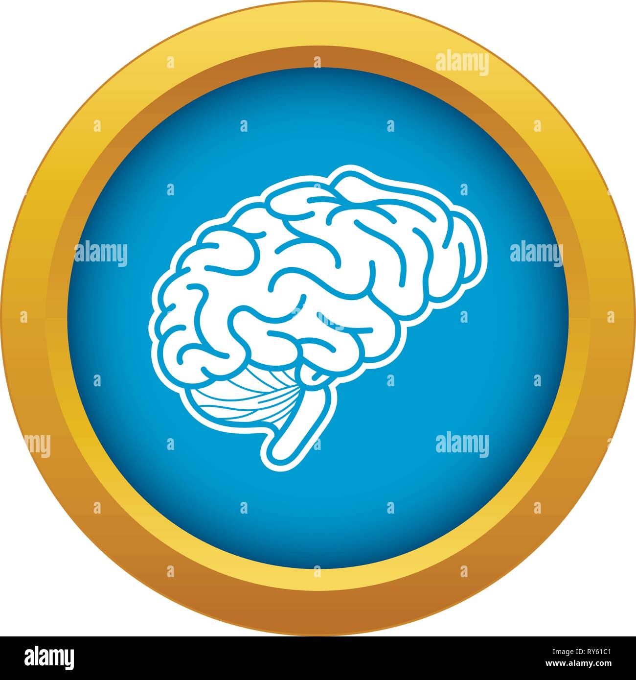 Human brain icon blue vector isolated Stock Vector Image & Art - Alamy
